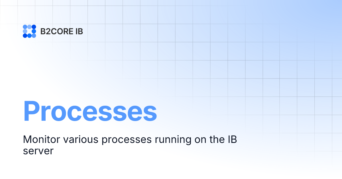 Processes | B2CORE IB docs